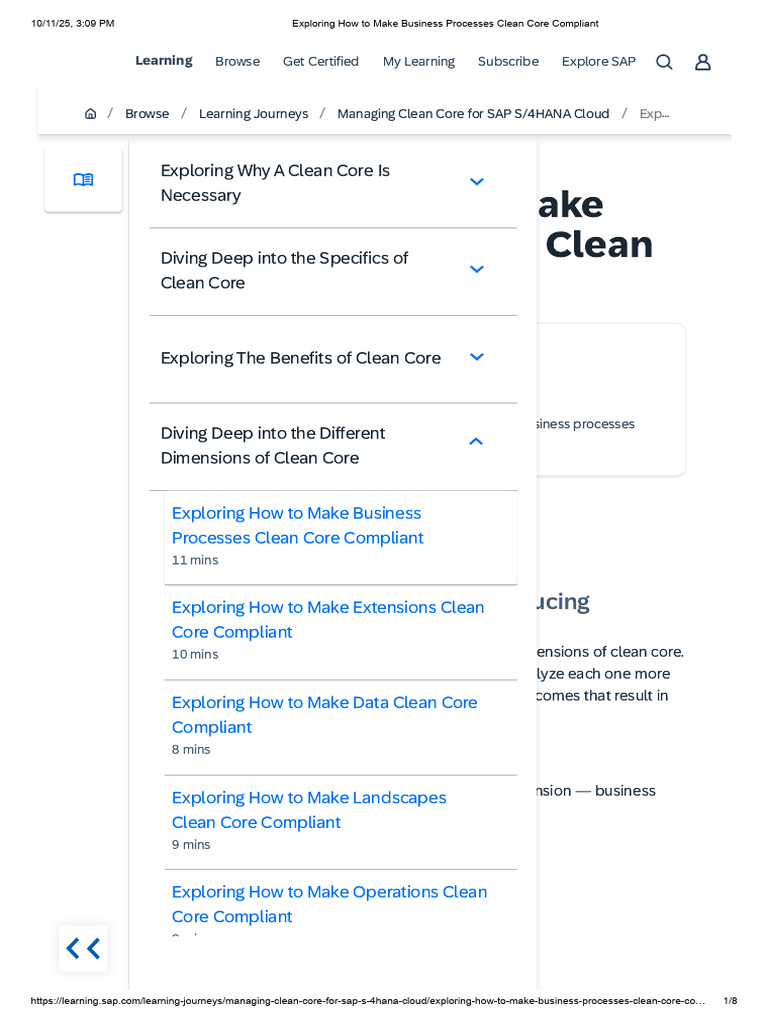 Clean Core Compliance for Business Processes | PDF | Business Process ...