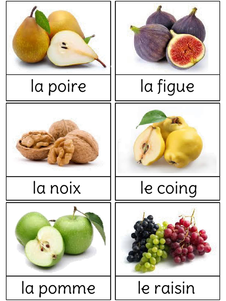 Cartes de Nomenclature Fruits D Automne Copie | PDF
