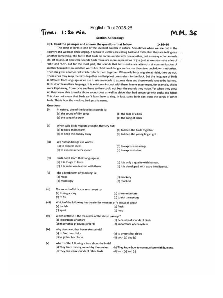 12 English Practice | PDF
