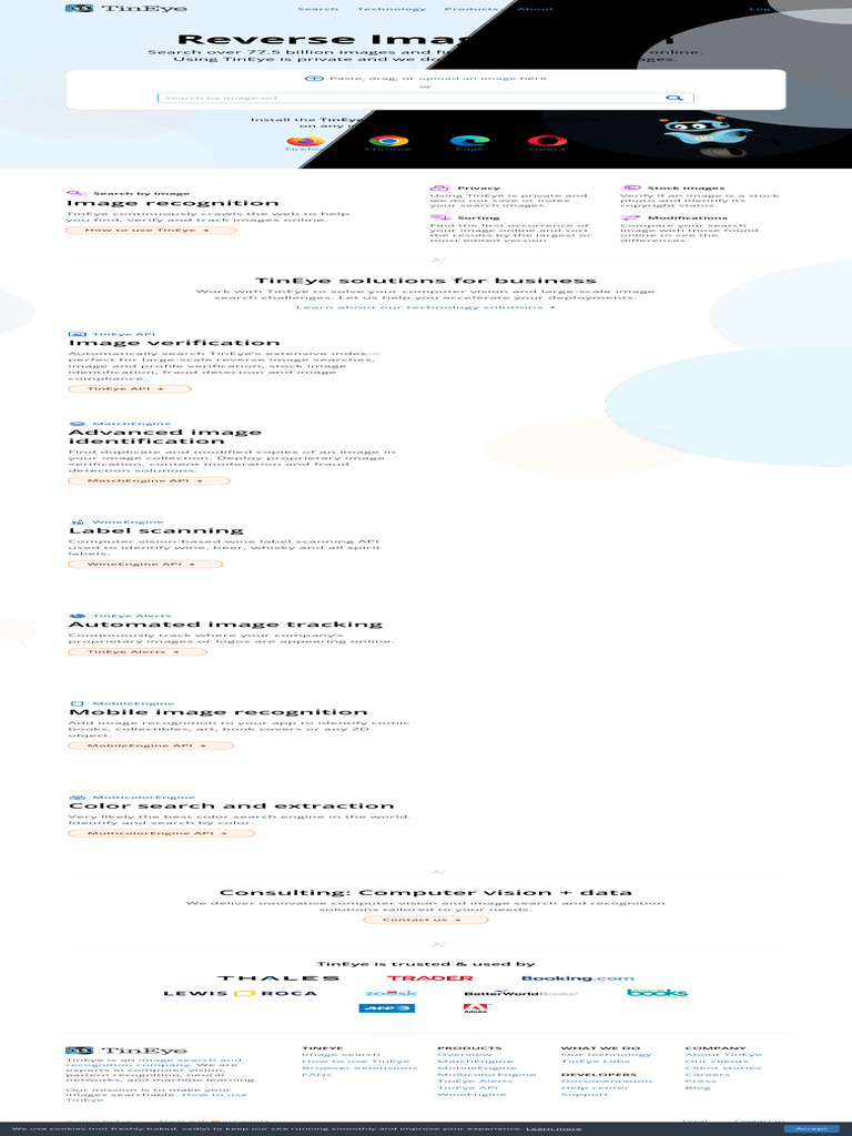TinEye Reverse Image Search Overview | PDF | Computer Vision | Cyberspace