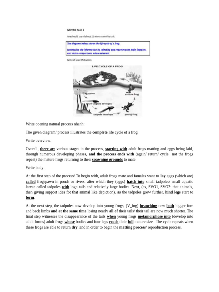 Part 1 - Natural Process (Frogs Cycle) | PDF