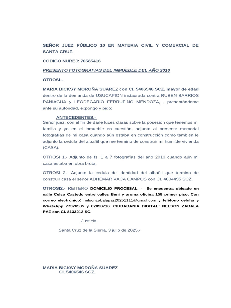 Usucacion BICKSY | PDF