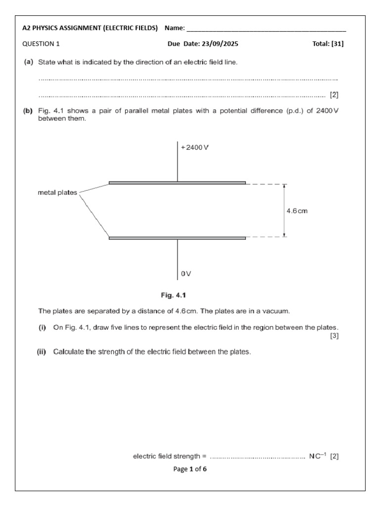 A2 Electric Fields Assignment | PDF
