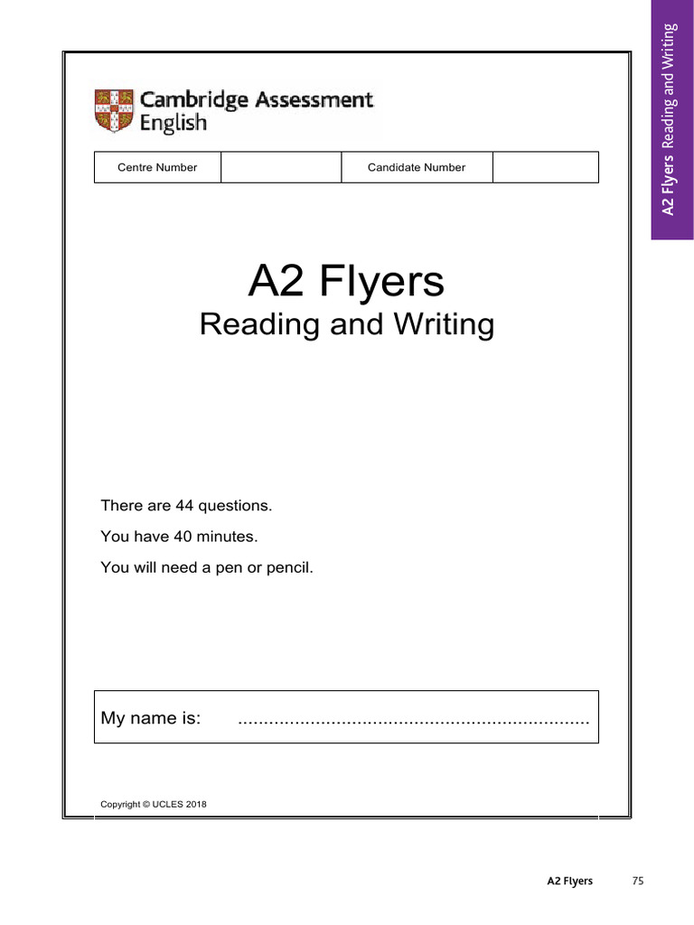 Flyers: Reading and Writing | PDF
