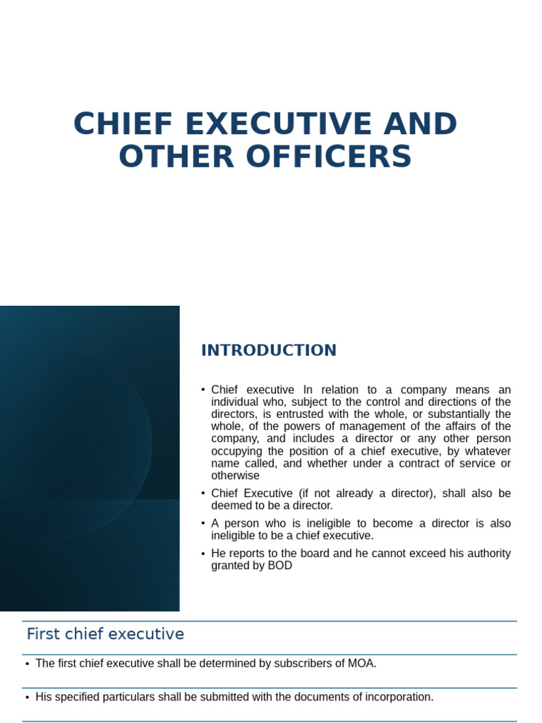 Chief Executive Officer Roles and Regulations | PDF