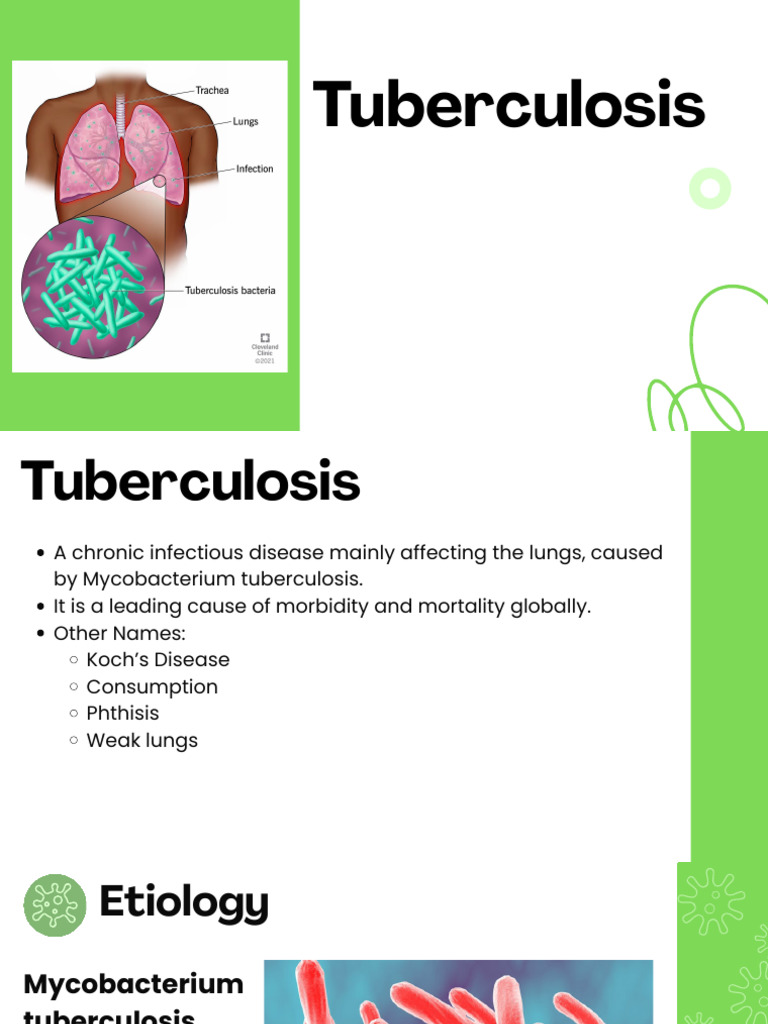 Understanding Tuberculosis: Causes, Symptoms, and Treatment | PDF