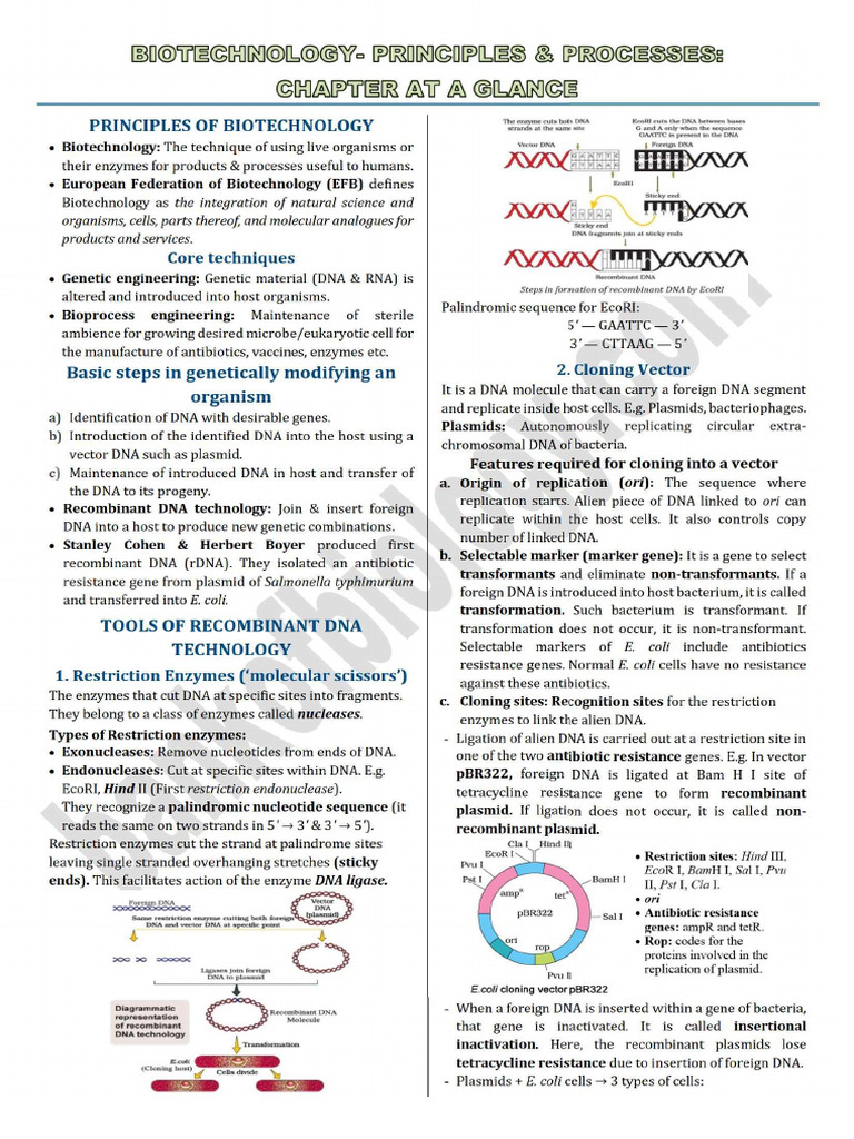 Biotechnology Principles and Processes Notes | PDF