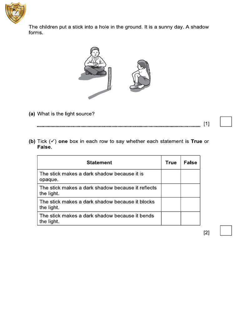 Grade 8 Light & Sound Practice Sheet | PDF