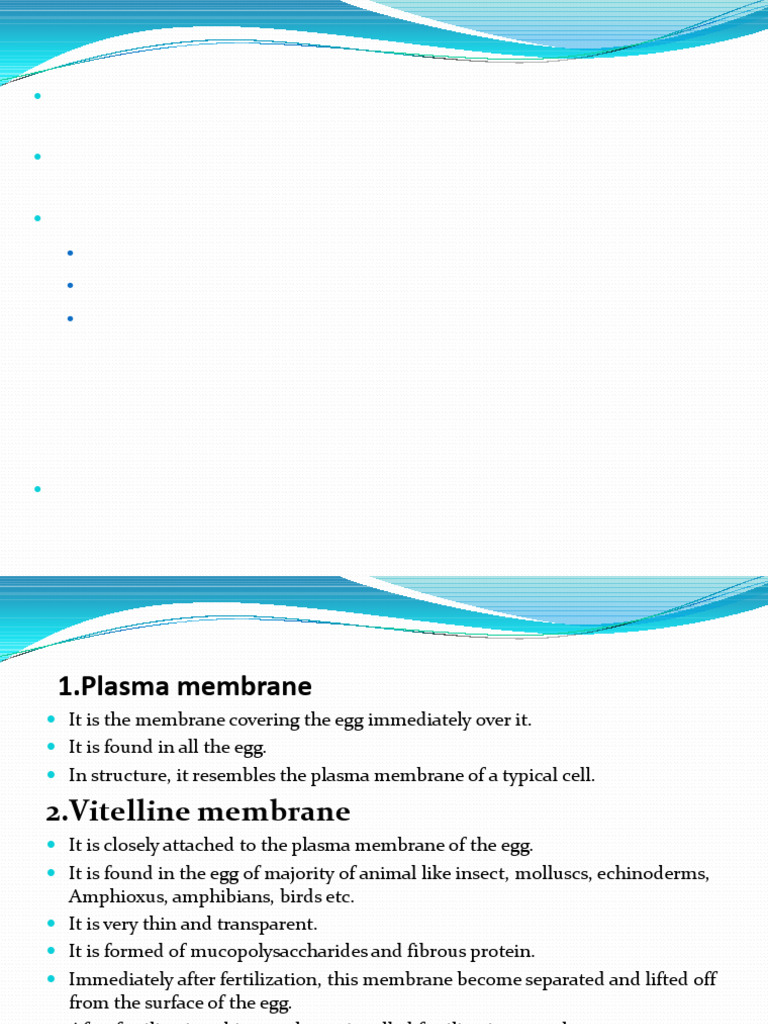 Types of Egg and Membranes | PDF | Egg | Cell Membrane