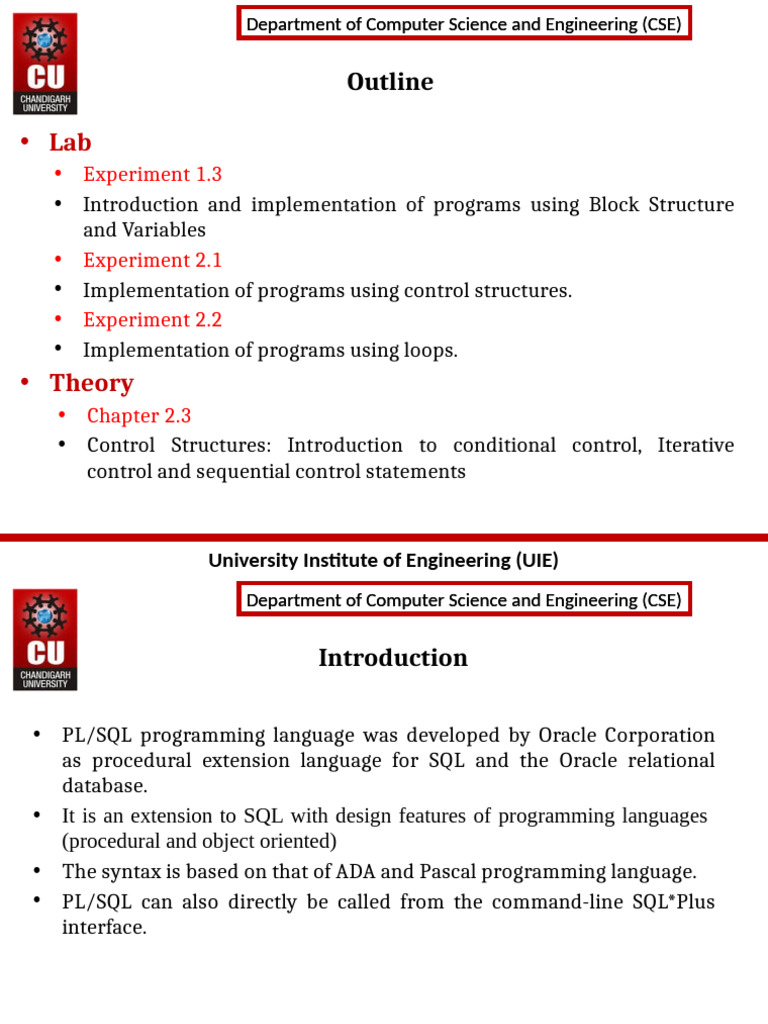 PL SQL - Fundamentals | PDF | Pl/Sql | Control Flow