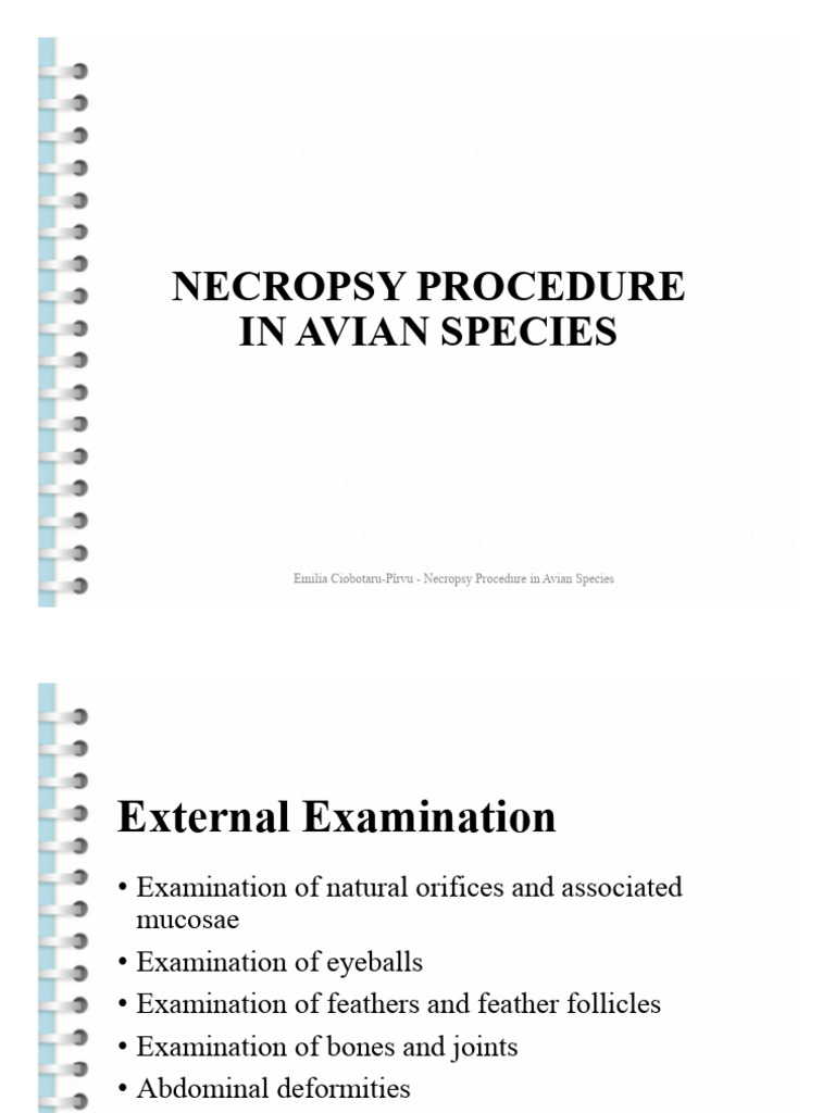 3 Necropsy Procedure Avian Species PW | PDF | Autopsy | Anatomy