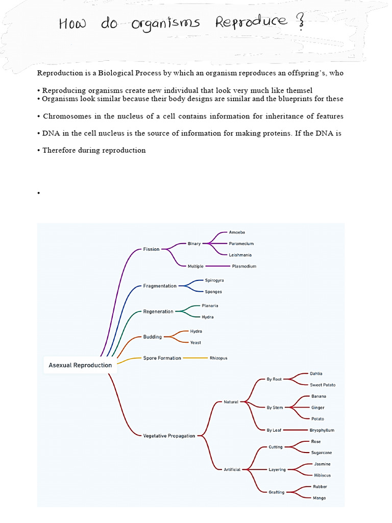 How Do Organims Reproduce - 250910 - 140434 | PDF | Human Reproduction ...