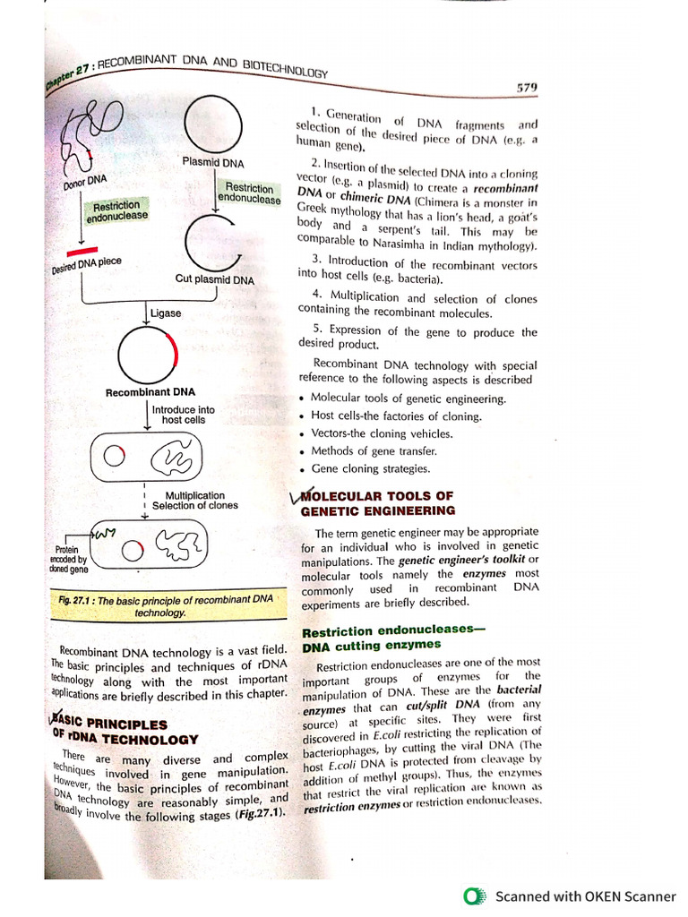 Biotech - Unit 1 | PDF
