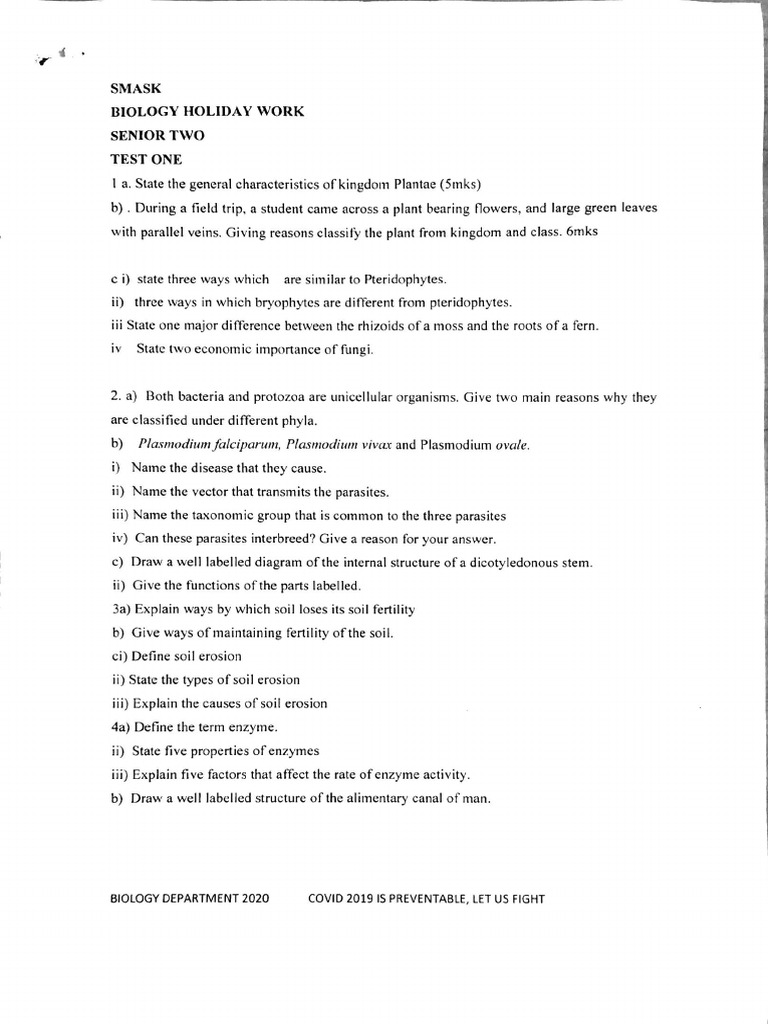 S2 Biology | PDF