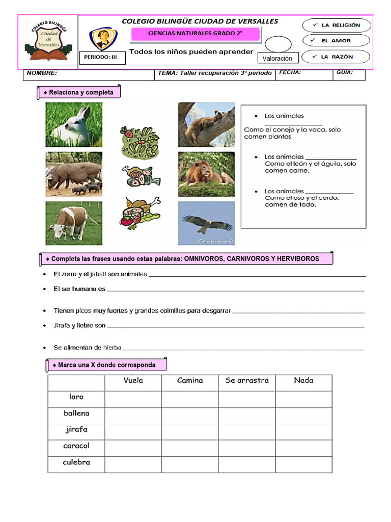 Taller Recuperación 3 Periodo Ciencias Naturales Grado 2 | PDF