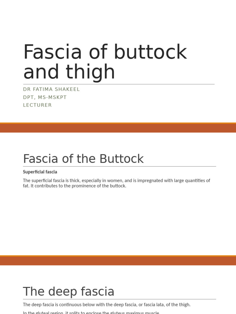 Fascia of Buttock and Thigh | PDF | Soft Tissue | Human Anatomy