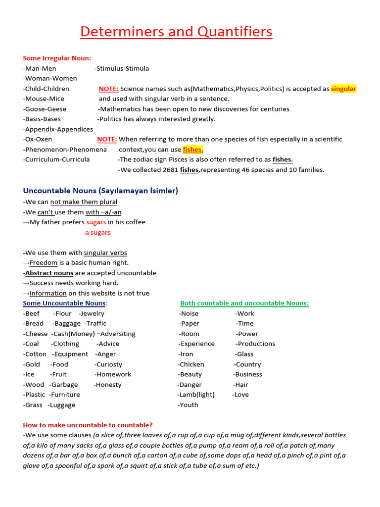 Determiners and Quantifiers | PDF | Plural | Noun