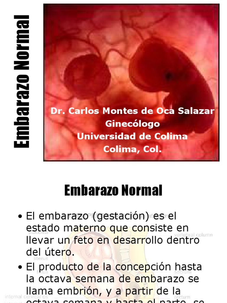Embarazo Normal | PDF | El embarazo | Parto