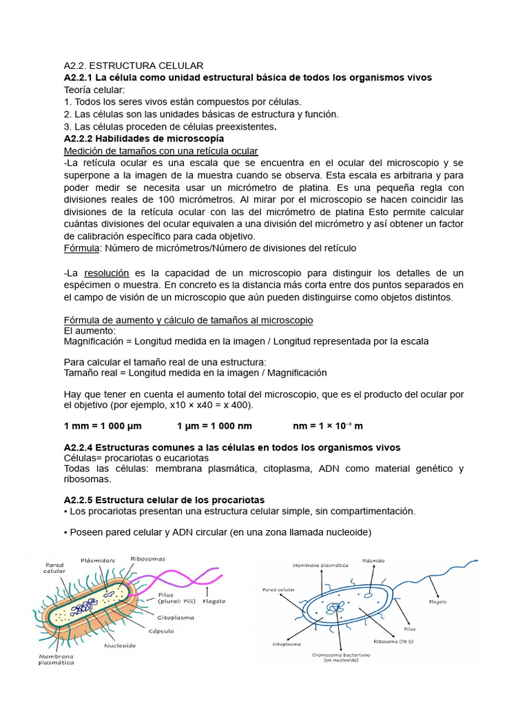 Estructura y Función de las Células | PDF | Biología Celular) | Citoplasma