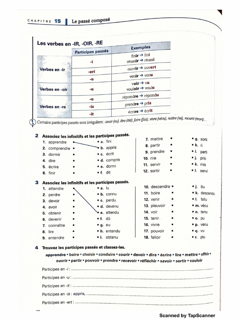Le Participe Passé - Exercice | PDF