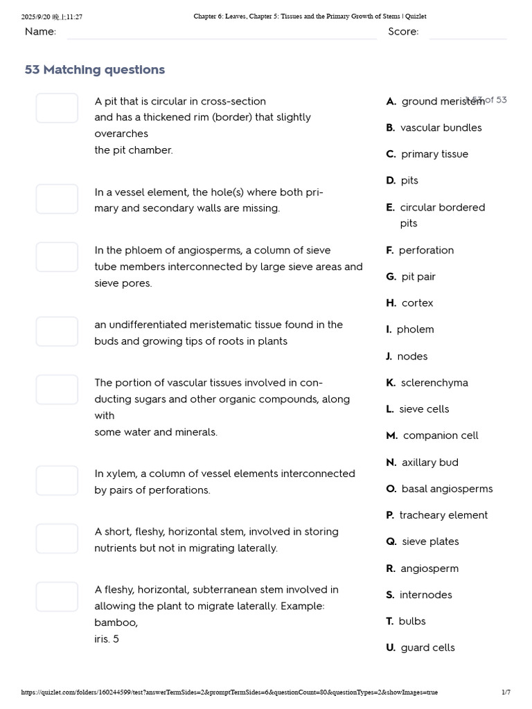 Plant Tissue and Growth Quiz Questions | PDF | Plant Stem | Tissue ...