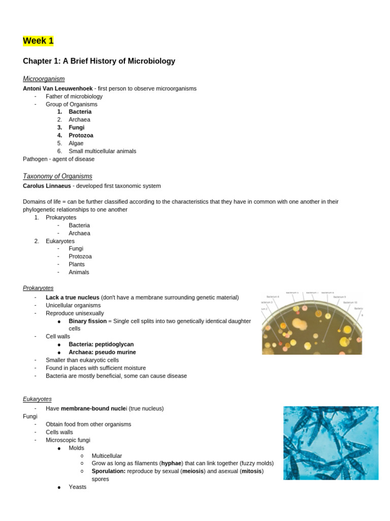Pseudomurine in Microbial Taxonomy | PDF | Virus | Microorganism