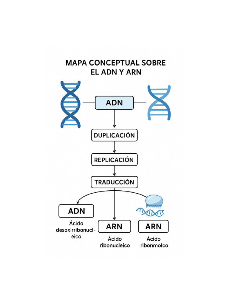 Mapa Cientifico Adn Arn | PDF