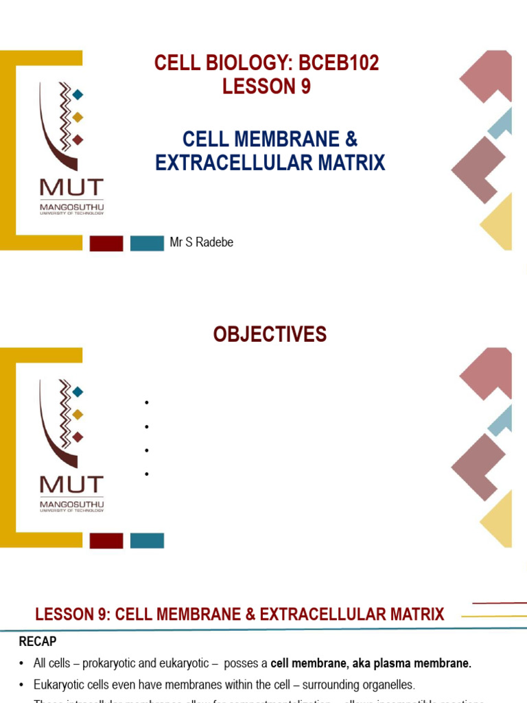 Learning Unit 6 - Cell Membrabe & Extracellular Matrix | PDF | Cell ...