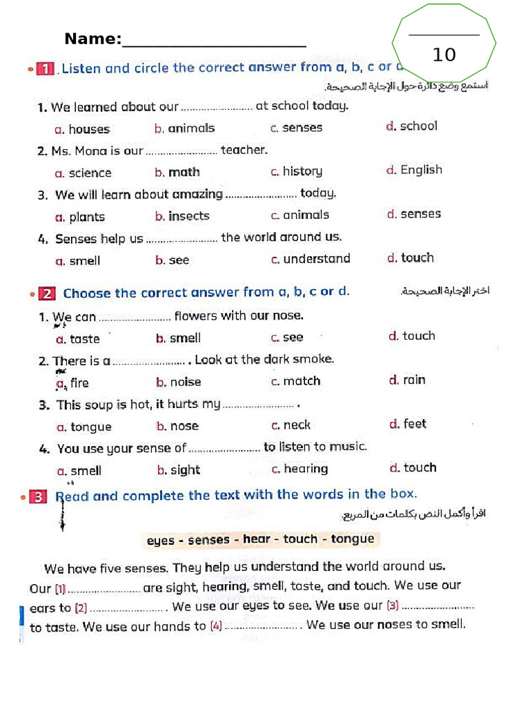 Quiz S1 | PDF