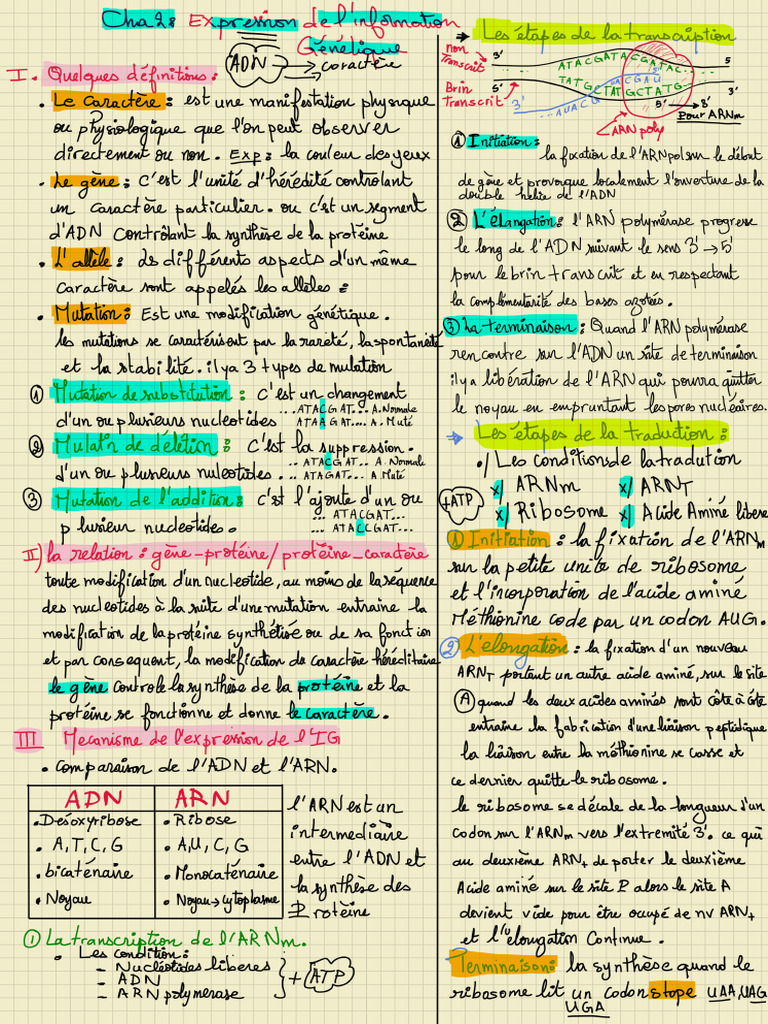 Chapitre 2 UNITE 2 | PDF