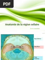 Imagerie de la Selle Turcique | PDF | Imagerie par résonance magnétique ...