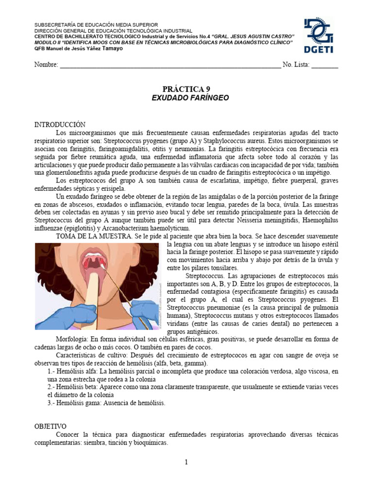 Práctica 9 Exudado Faríngeo | PDF | Estreptococo | Microbiología