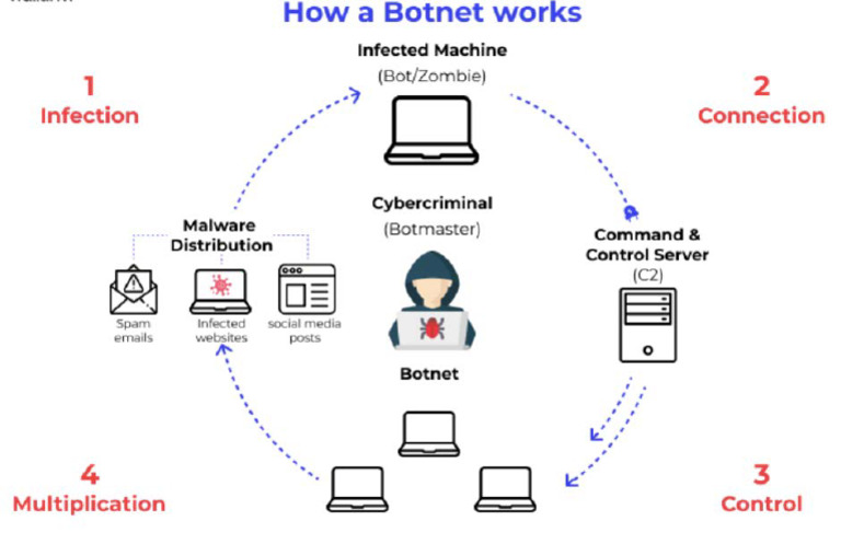 How Botnets Works | PDF