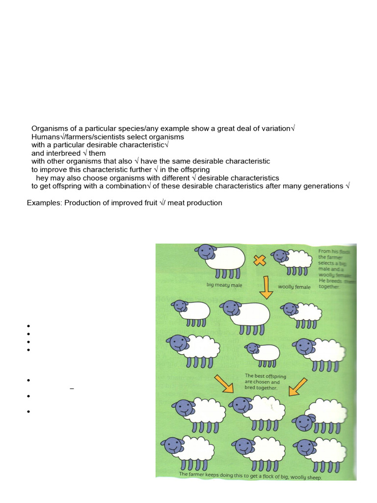 Summary of Evolution Questions and Answers | PDF | Evolution ...