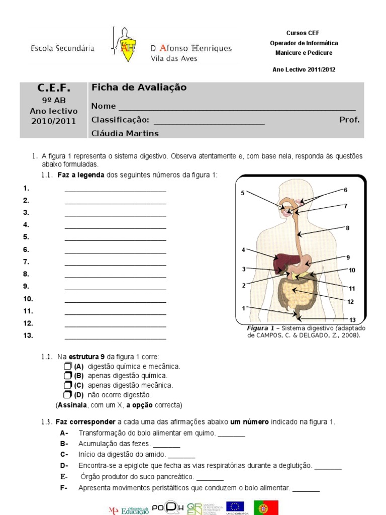 teste 1 digestivo | Digestão | Sistema Digestivo Humano