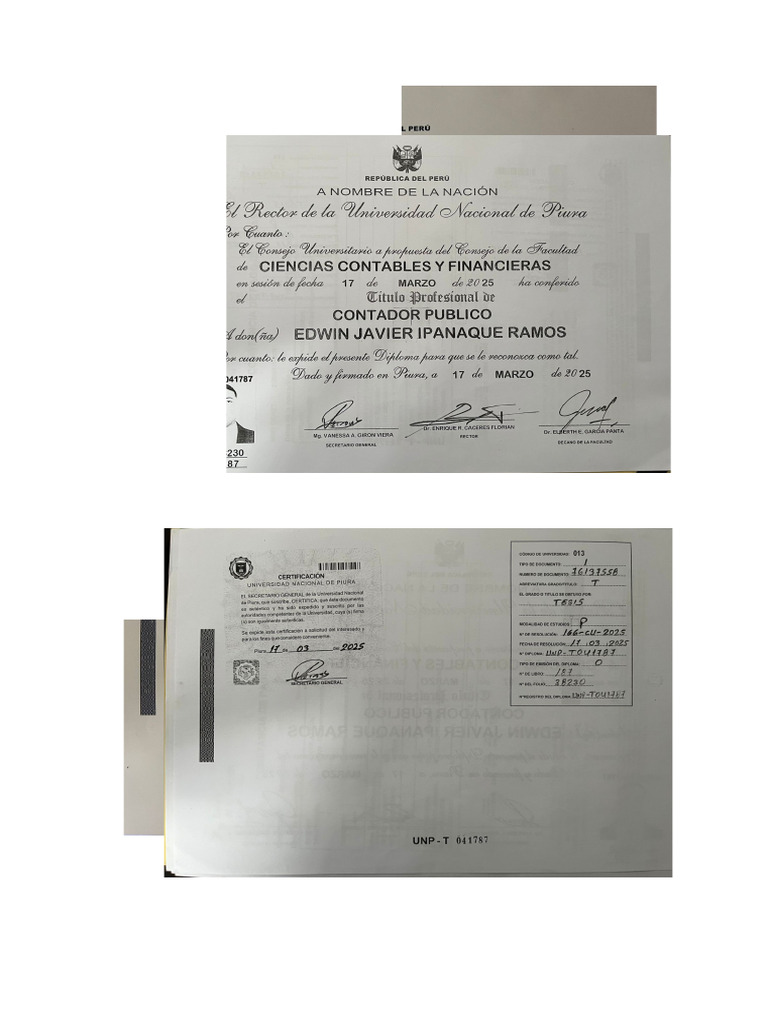 Declaración Jurada y CV Edwin Ipanaque | PDF | Contabilidad
