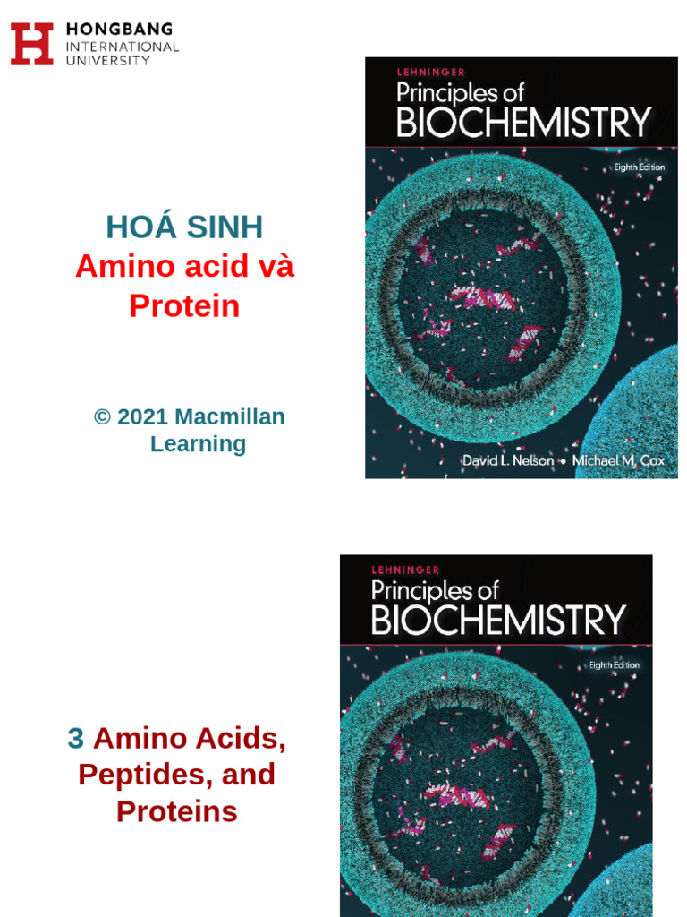 Chapter 03 - Amino Acids, Peptides, Proteins | PDF