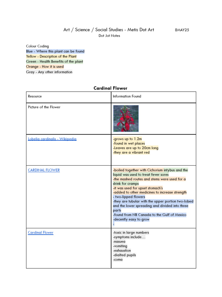 Dot Jots - Art - Science - Social Studies - Metis Dot Art | PDF ...