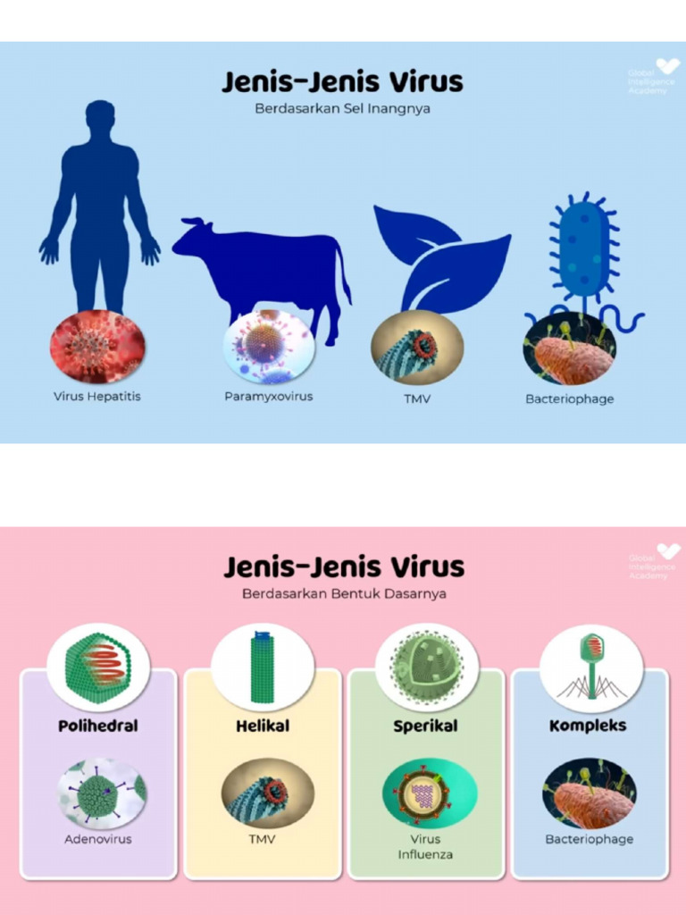 Virus Biologi Kelas 10 | PDF