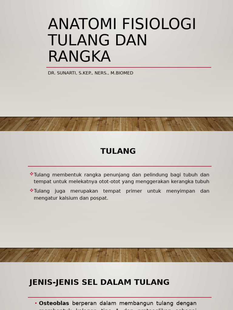 Topik 2 Anatomi Fisiologi Tulang Dan Rangka | PDF