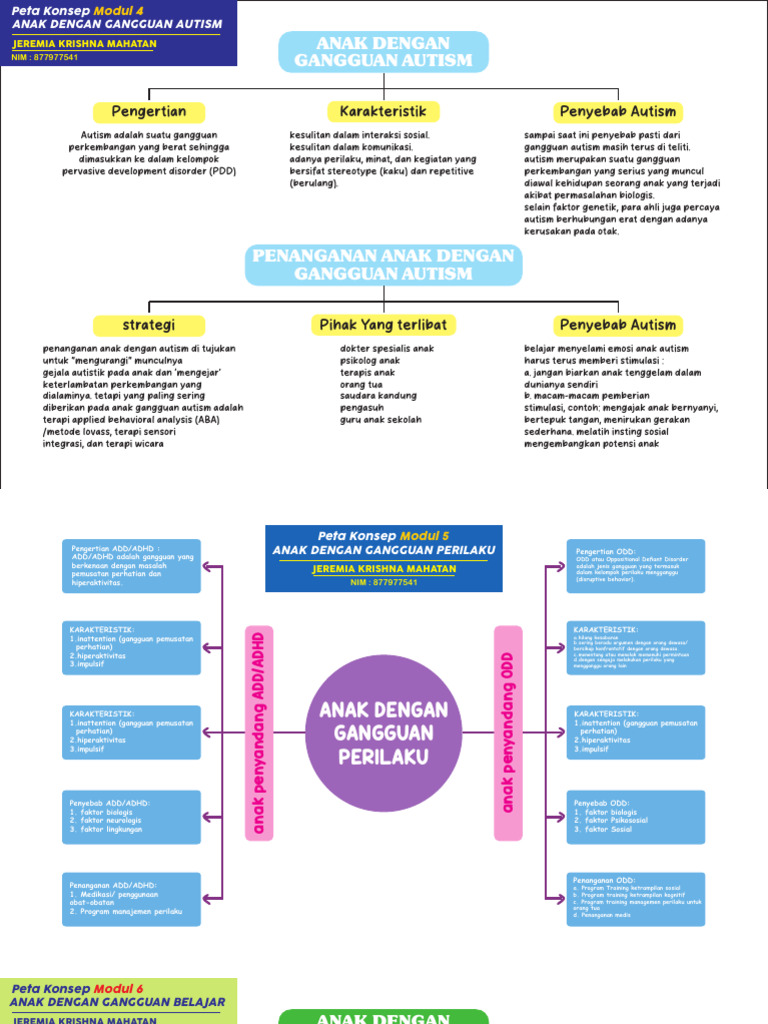 Peta Konsep Modul 456 Penanganan ABK (Jeremia Krishna Mahatan 877977541) | PDF