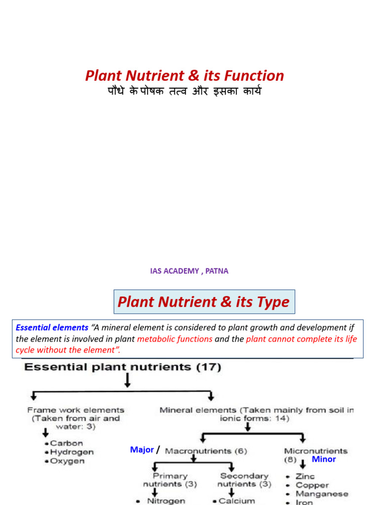 Plant Nutrients & Its Function - 36924446 - 2024 - 08 - 26 - 11 - 13 ...