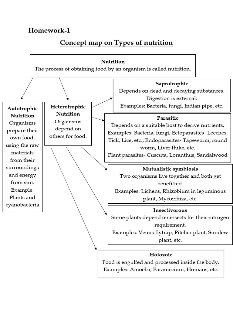 Types of Nutrition Explained | PDF
