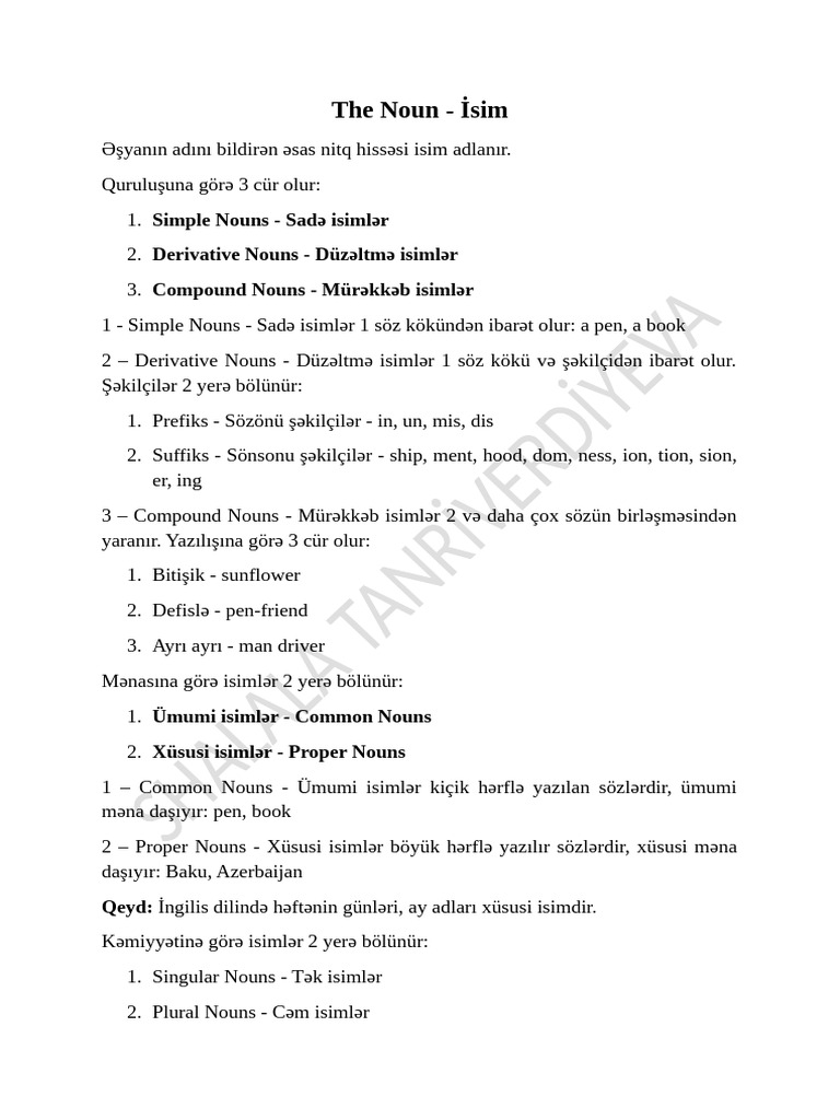 The Noun | PDF