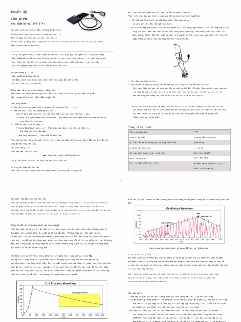 Bps Bta | PDF