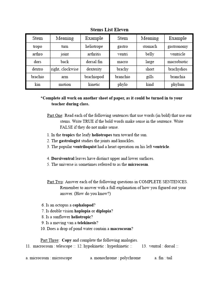 Daily Grammar Practice 3 | PDF | Analogy