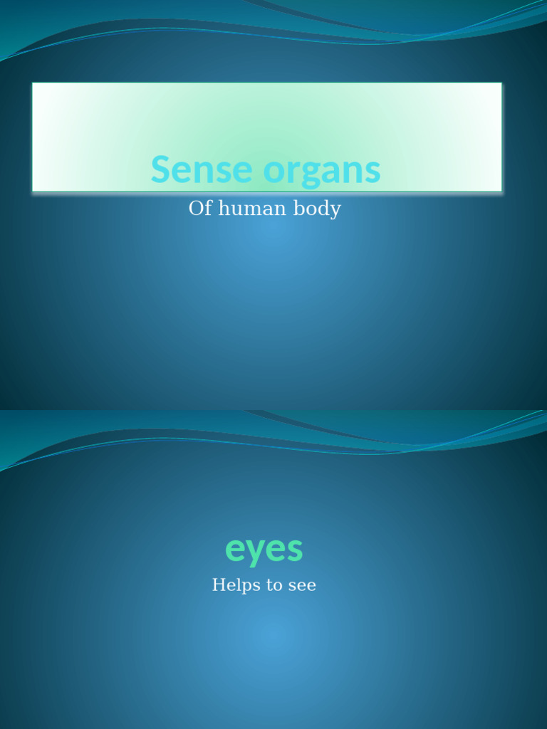 Sense Organs | PDF