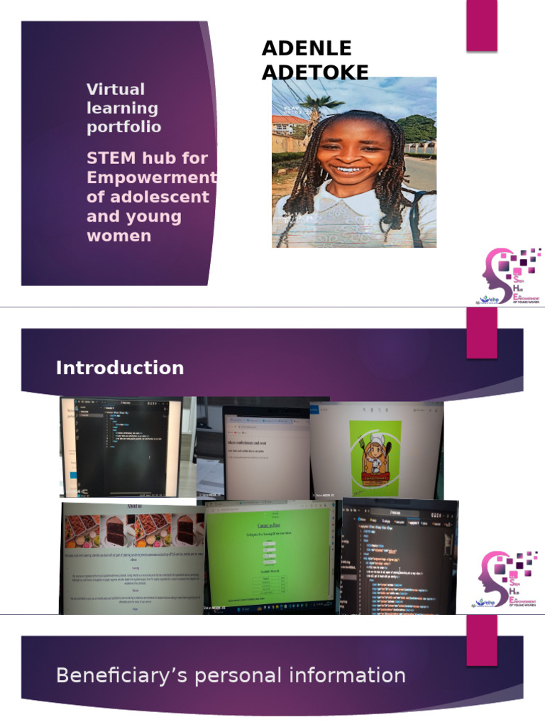 Virtual Learning Portfolio - Toke | PDF