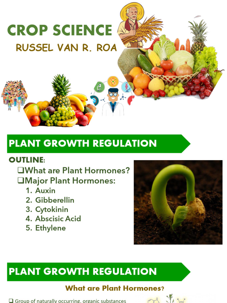 Plant Growth Regulation | PDF | Plant Hormone | Auxin