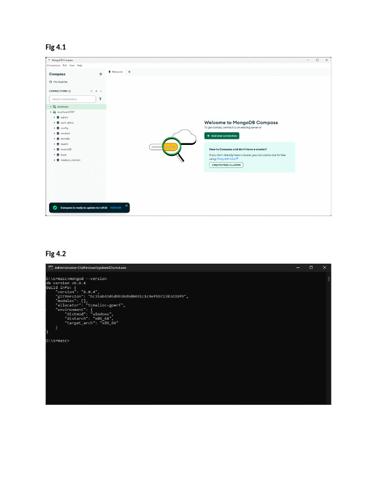 MongoDB Program Print | PDF